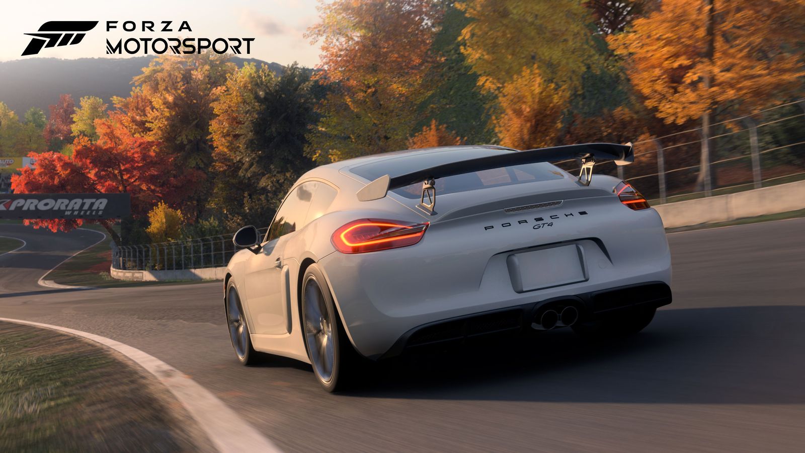 Master Porsche Racing Icons in Forza Motorsport